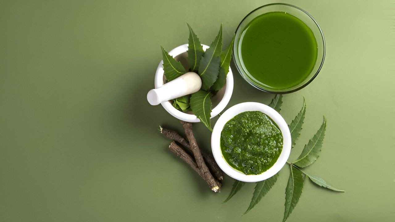 The Neem Tree—The Village Pharmacy: 12 Powerful Uses, Health Benefits ...